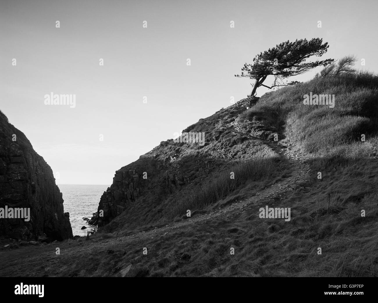 Sand skane hi-res stock photography and images - Alamy