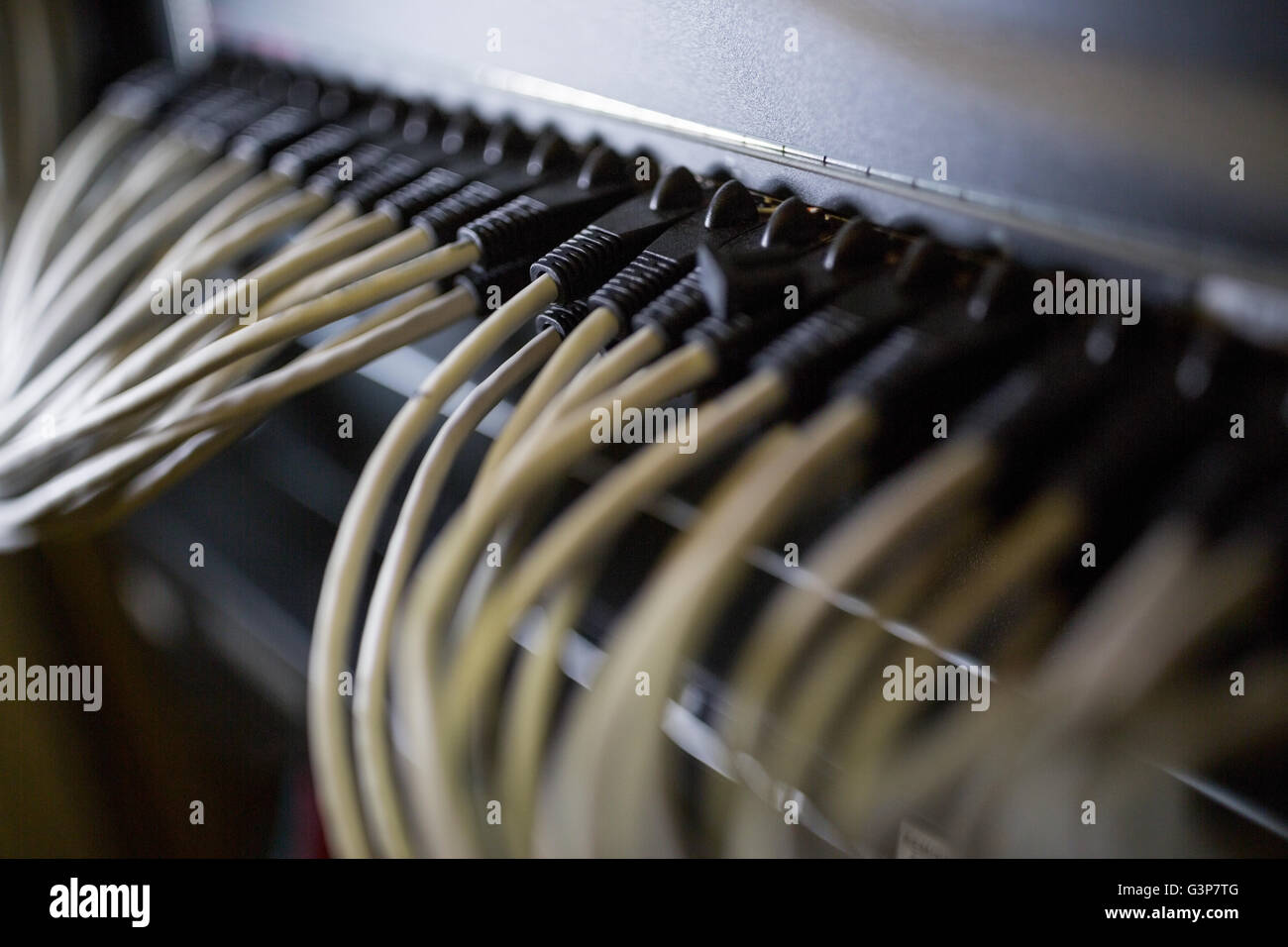 Close-Up of rack mounted server Stock Photo - Alamy