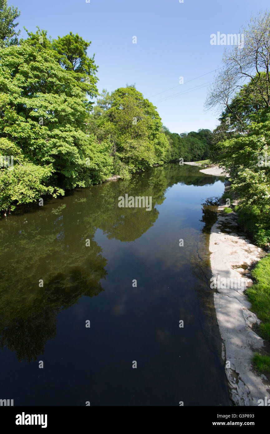 River Kent, England. Picturesque view of the River Kent on the stretch ...