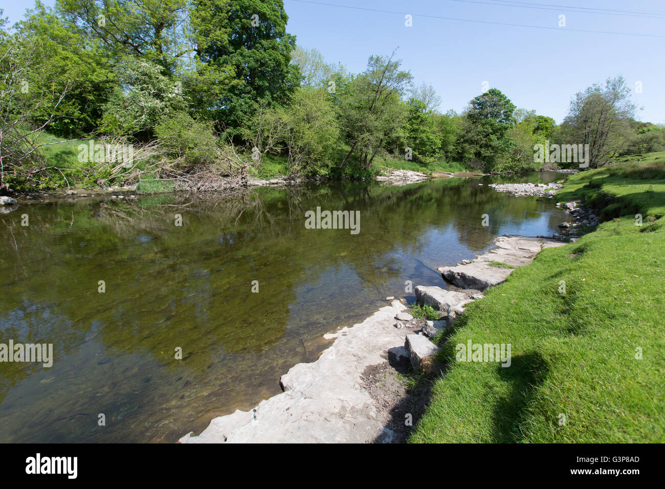 River Kent, England. Picturesque view of the River Kent on the stretch ...
