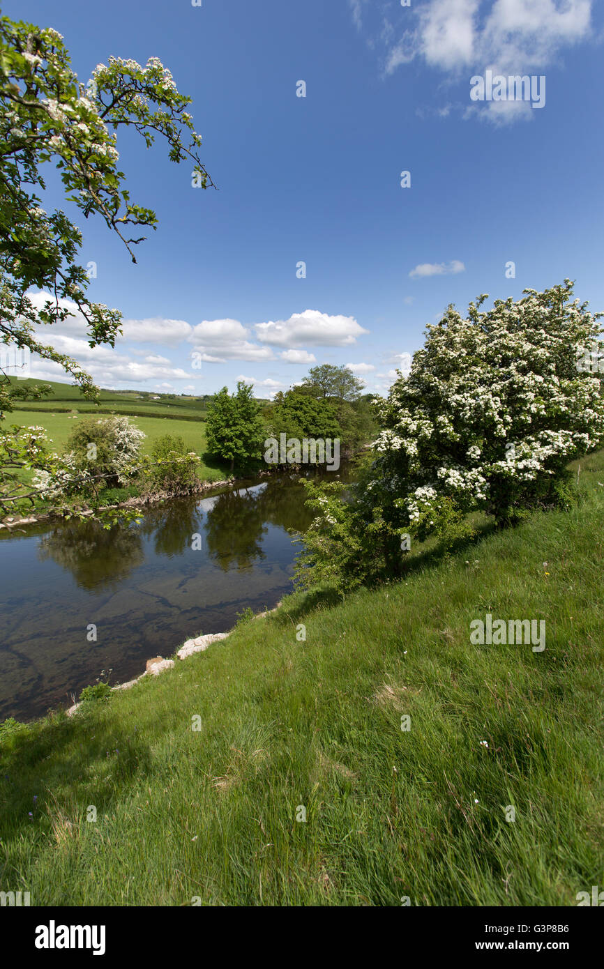 River Kent, England. Picturesque view of the River Kent on the stretch ...