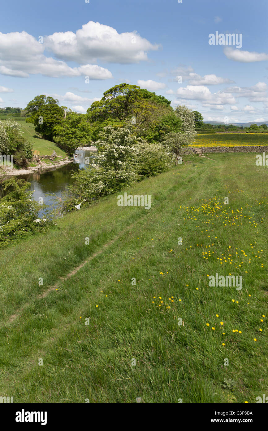 River Kent, England. Picturesque view of the River Kent on the stretch ...