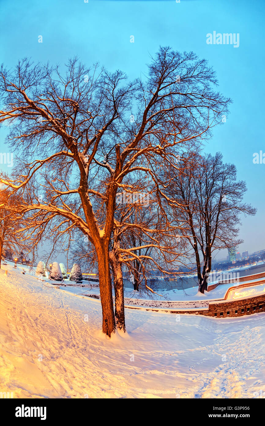 Winter landscape of Belgrade fortress and Kalemegdan park at night with ...