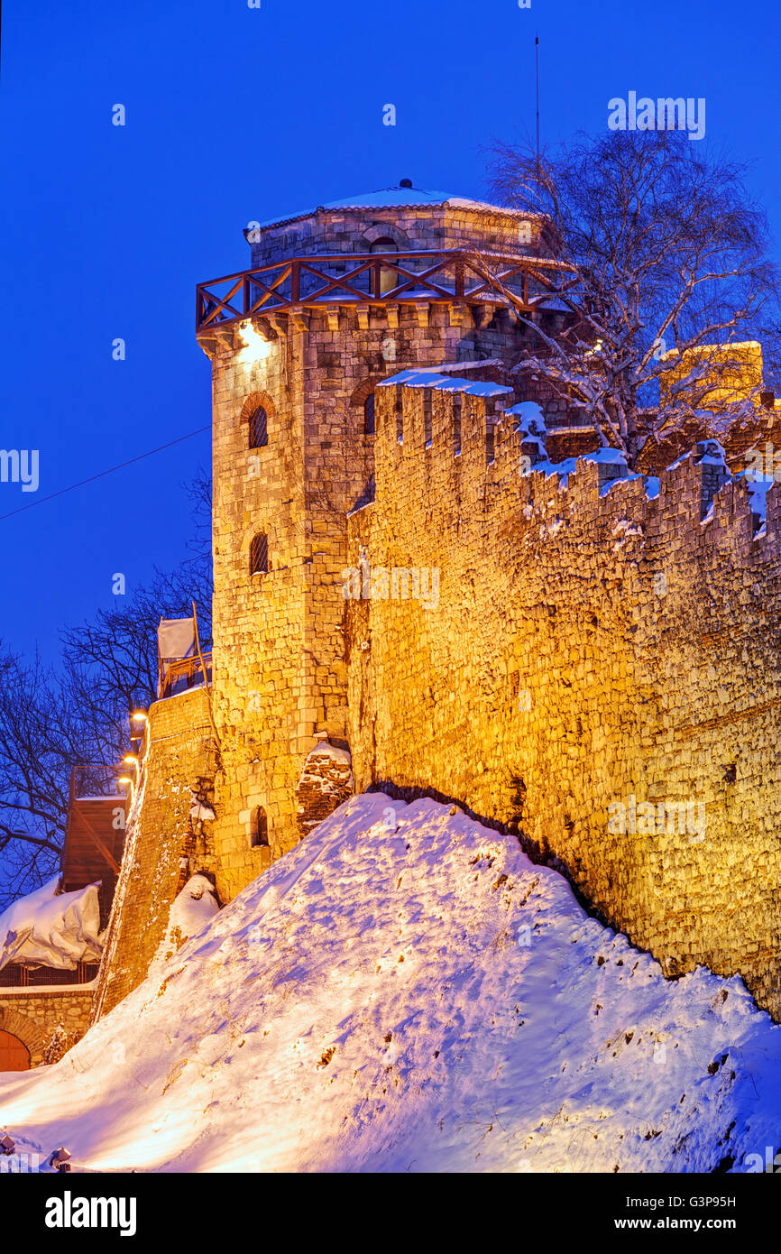 Winter landscape of Belgrade fortress and Kalemegdan park at night with ...