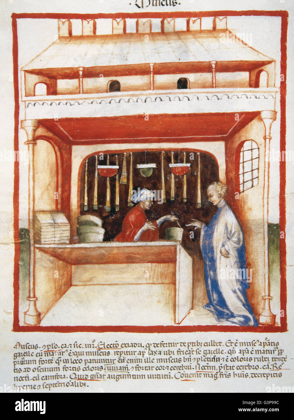 Tacuinum sanitatis 14th century medieval hi-res stock photography and ...