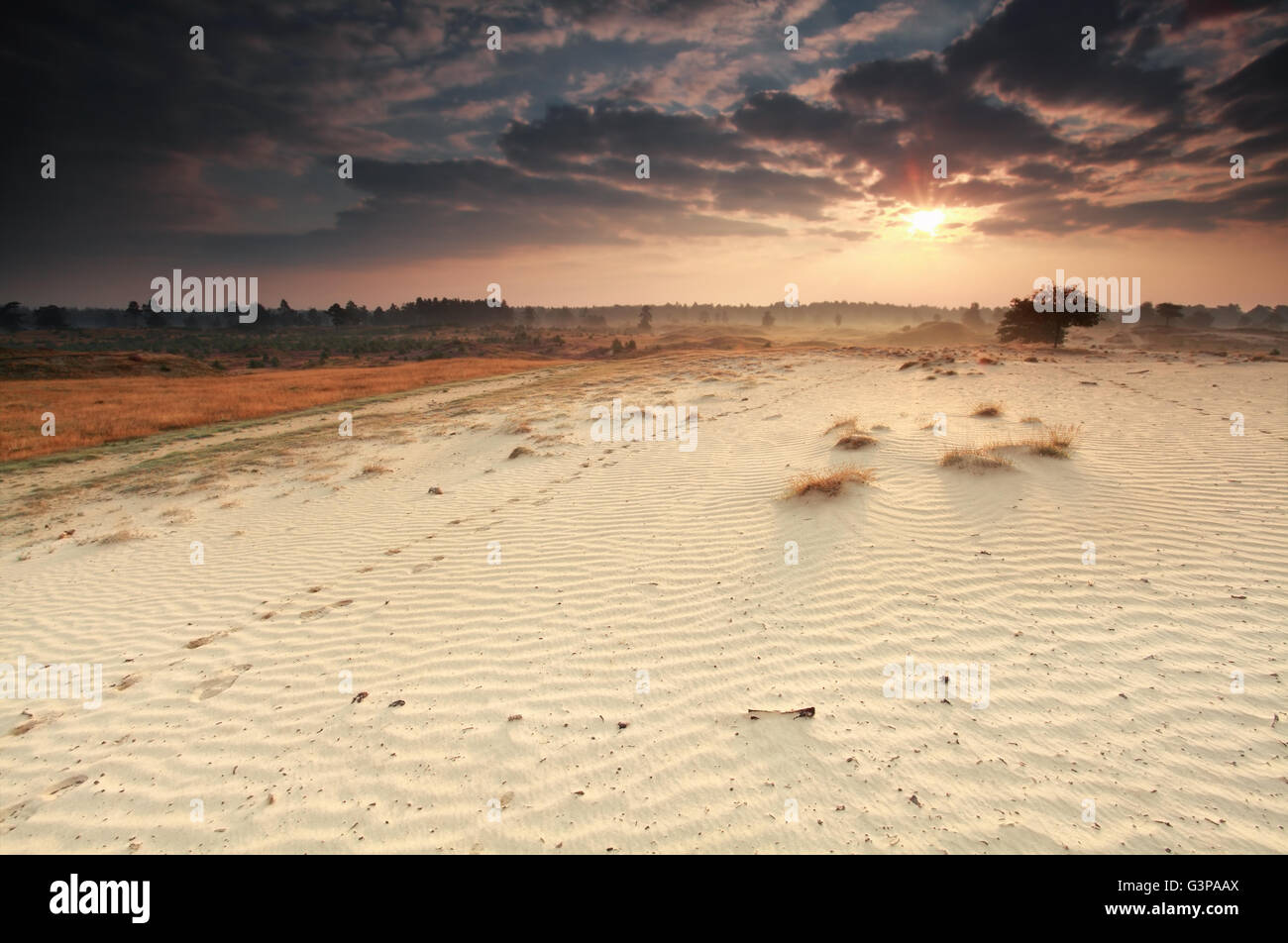 Sunshine texture hi-res stock photography and images - Alamy