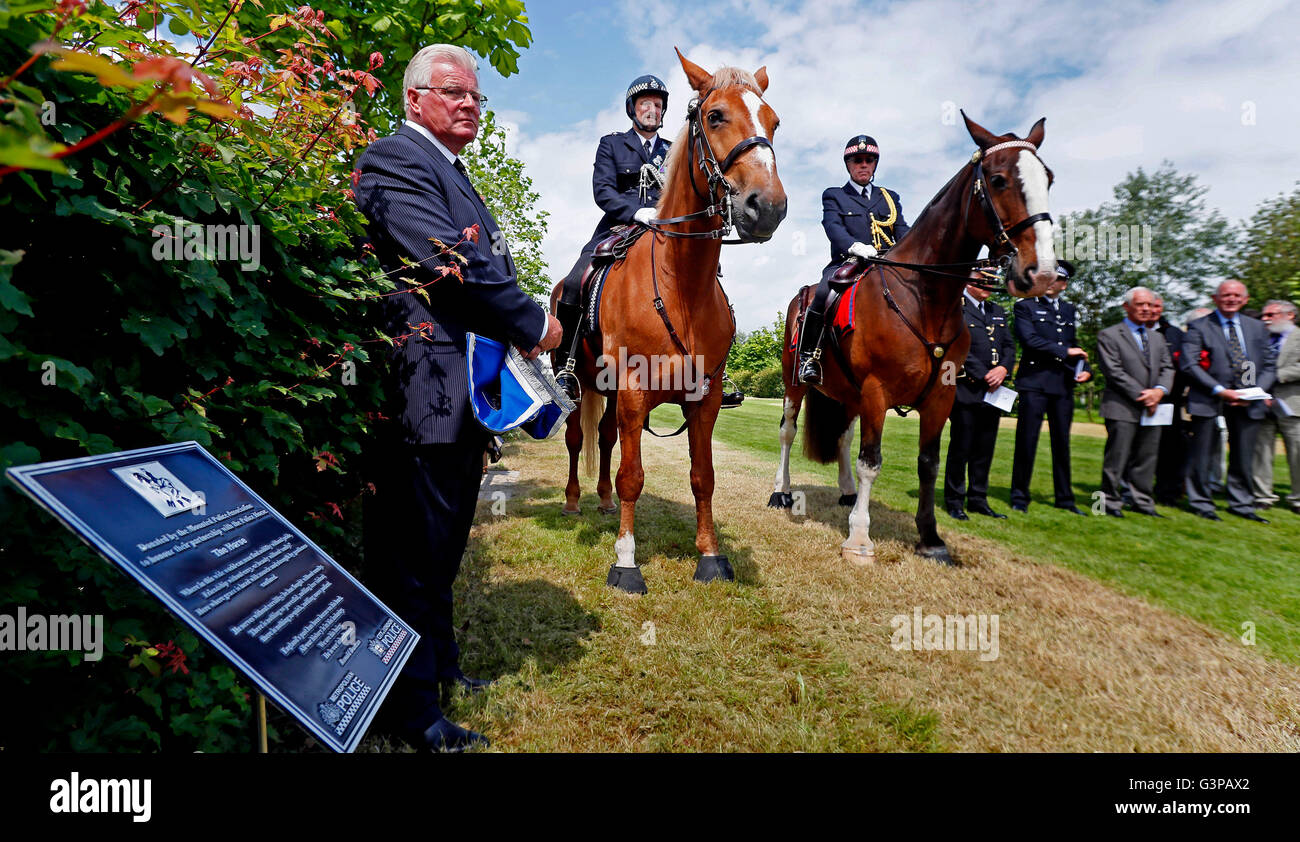 Police horses, Lionheart and Roxy, at the National Arboretum, in ...