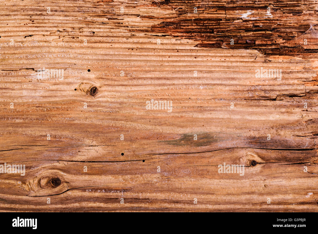 Timber rotting hi-res stock photography and images - Alamy