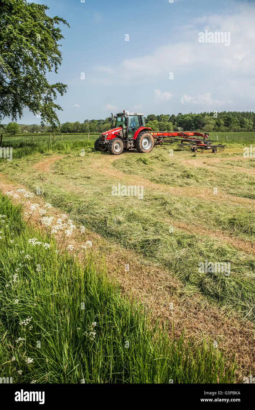 Farmers at work cutting grass and hay-making Stock Photo - Alamy