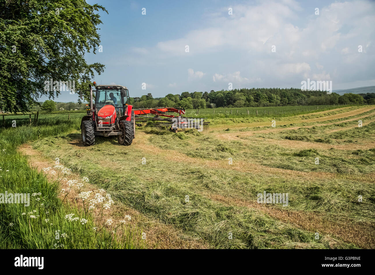 Farmers at work cutting grass and hay-making Stock Photo - Alamy