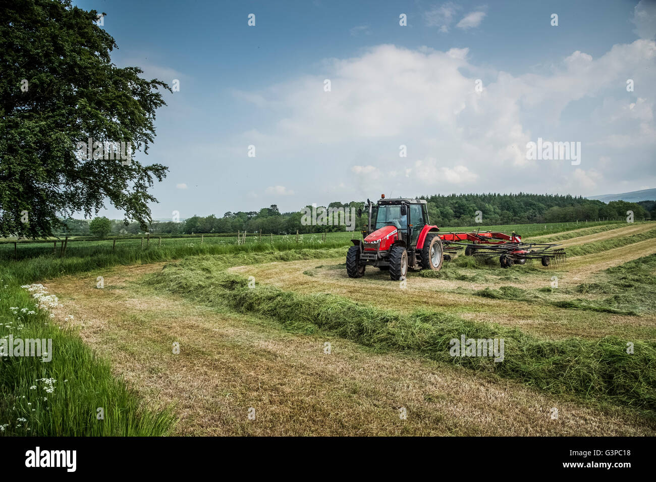 Farmers at work cutting grass and hay-making Stock Photo - Alamy