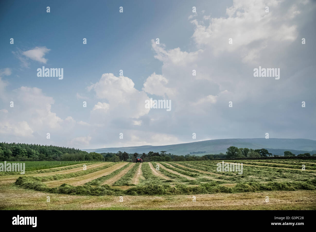 Farmers at work cutting grass and hay-making Stock Photo - Alamy