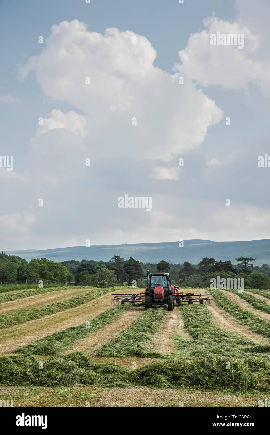 Farmers at work cutting grass and hay-making Stock Photo - Alamy