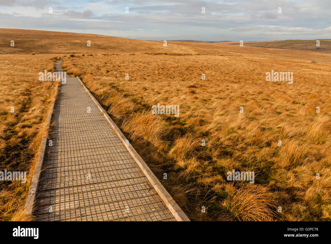 Denbigh moors in north wales hi-res stock photography and images - Alamy