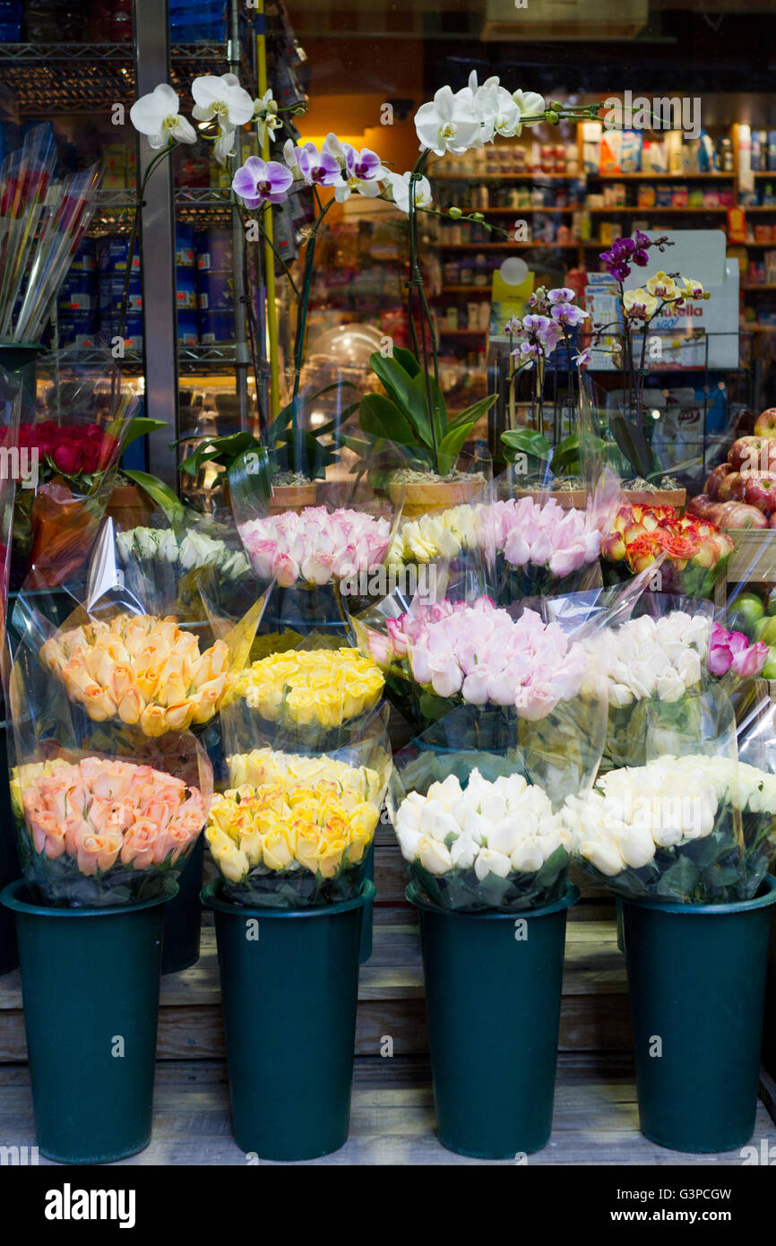 Bodega, grocery shop store front in New York City with rows of flowers ...