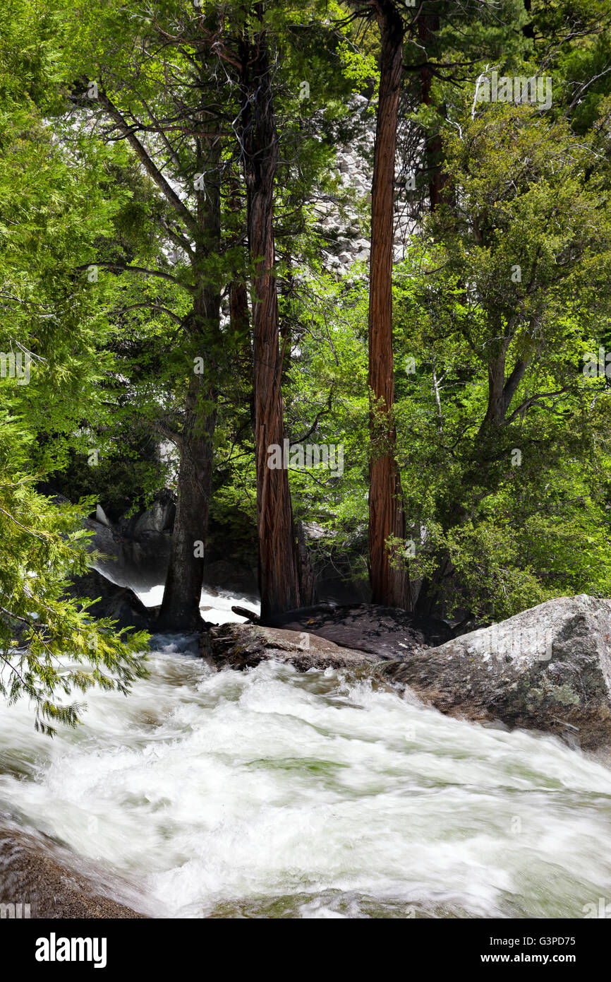 Kings canyon national park mist falls hi-res stock photography and ...