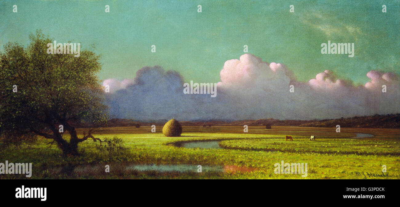 Martin Johnson Heade - Sunlight and Shadow- The Newbury Marshes ...