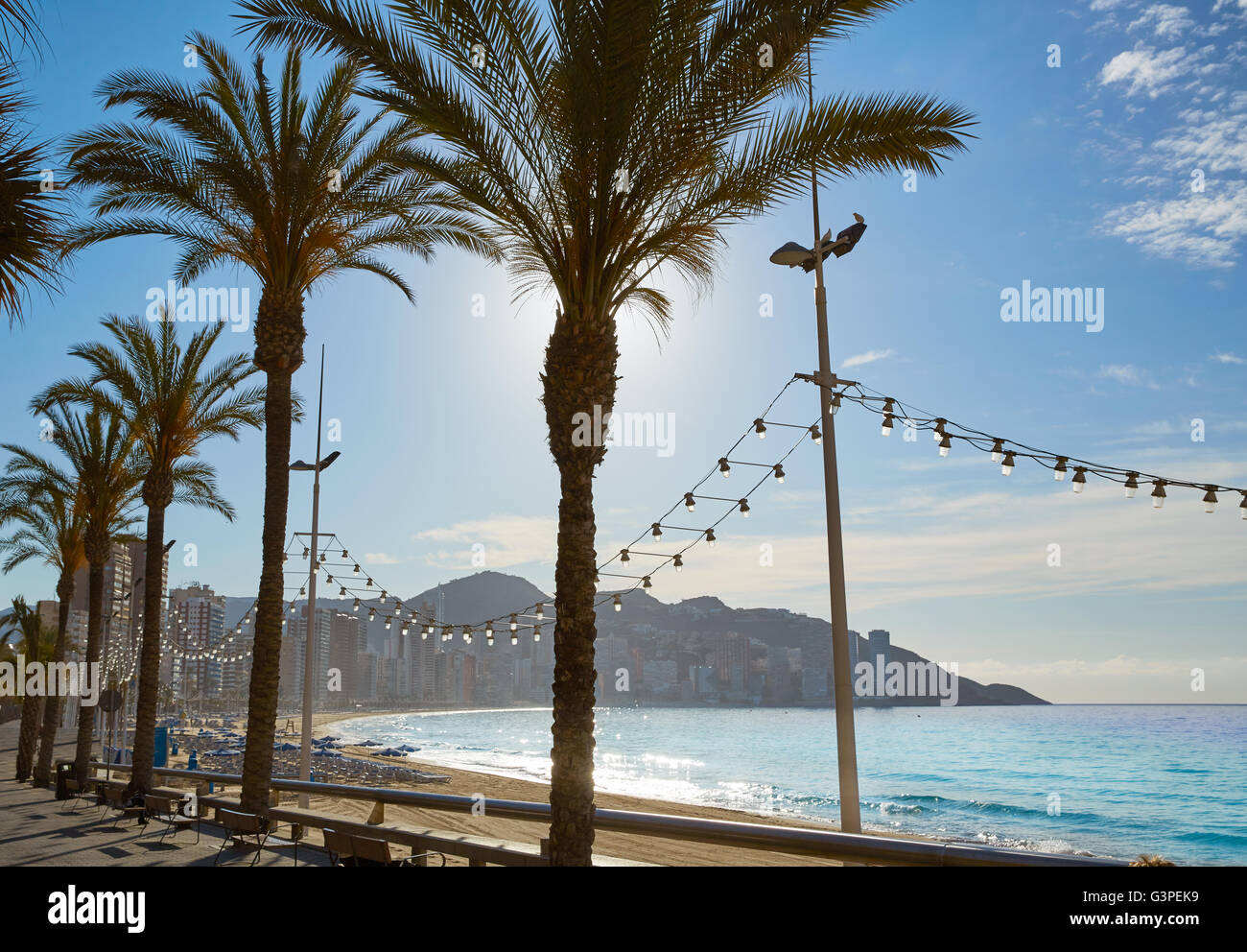 Levante beach palm tree hi-res stock photography and images - Alamy