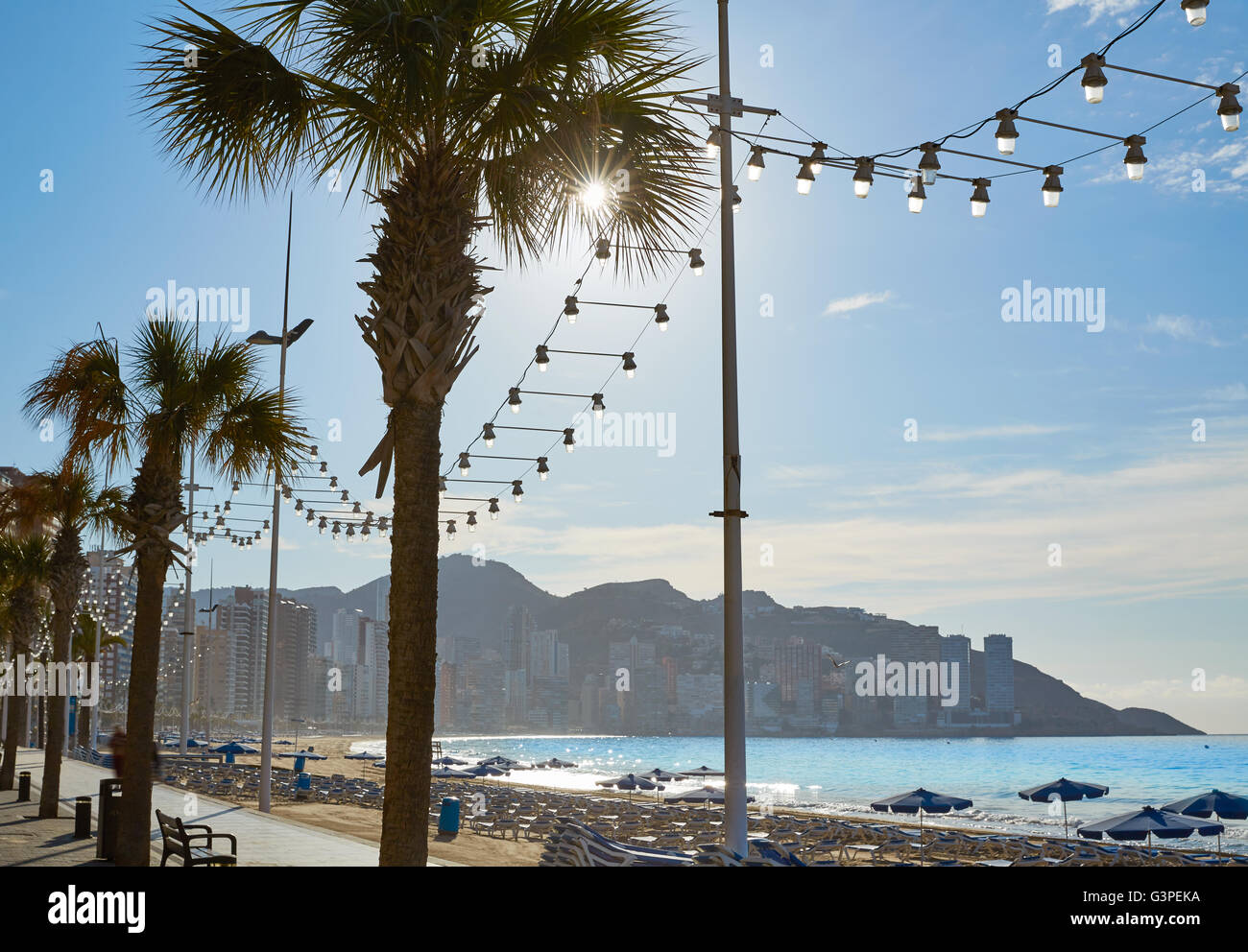 Levante beach palm tree hi-res stock photography and images - Alamy