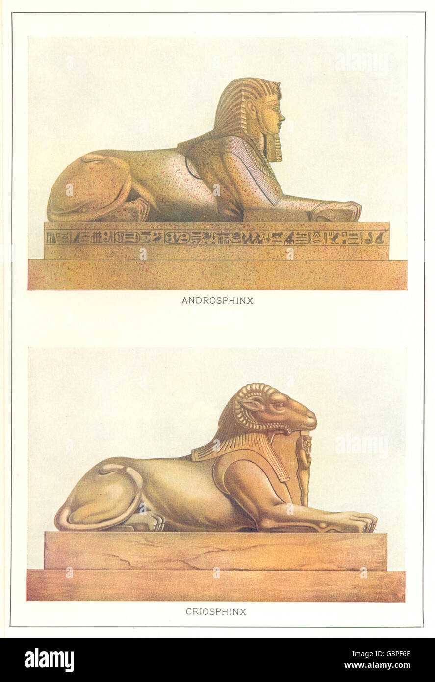 An androsphinx hi-res stock photography and images - Alamy