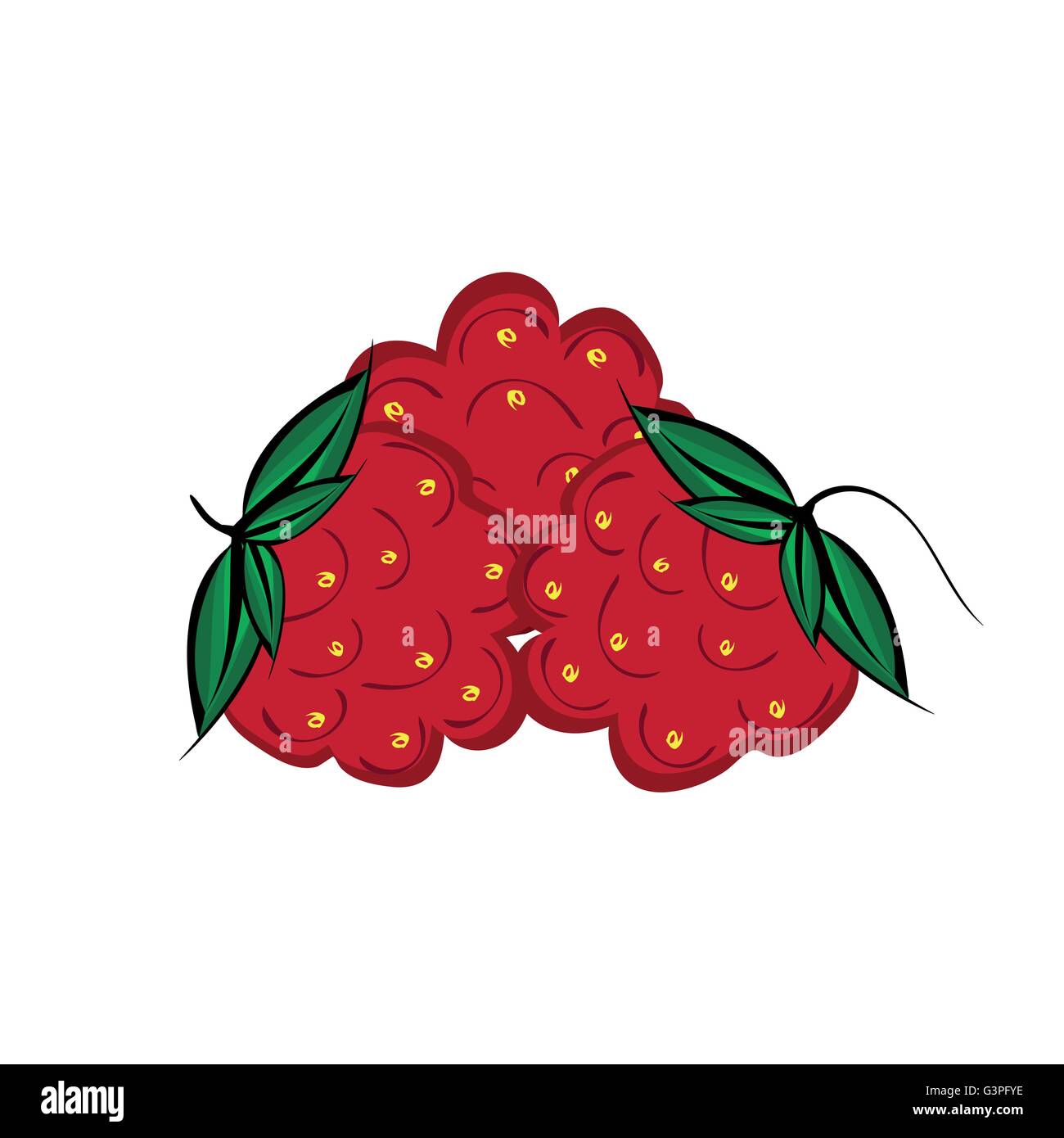Hand drawn raspberry logo Cut Out Stock Images & Pictures - Alamy