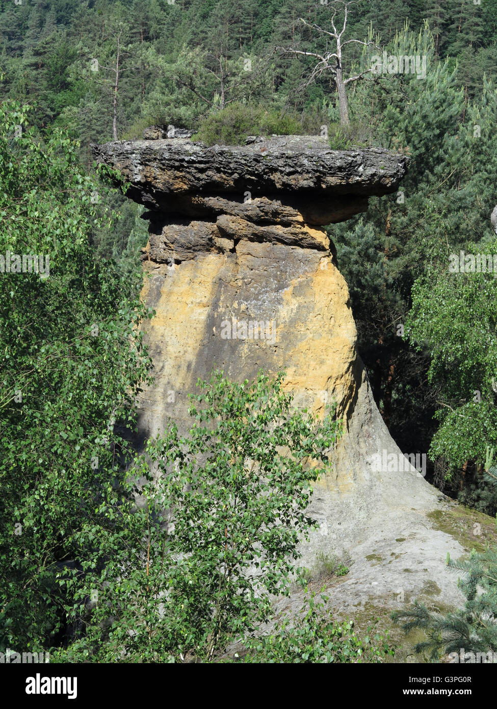 Bizarre sandstone rock formation in the forest - capstone Stock Photo ...