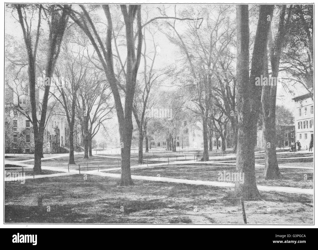 University grays hi-res stock photography and images - Alamy