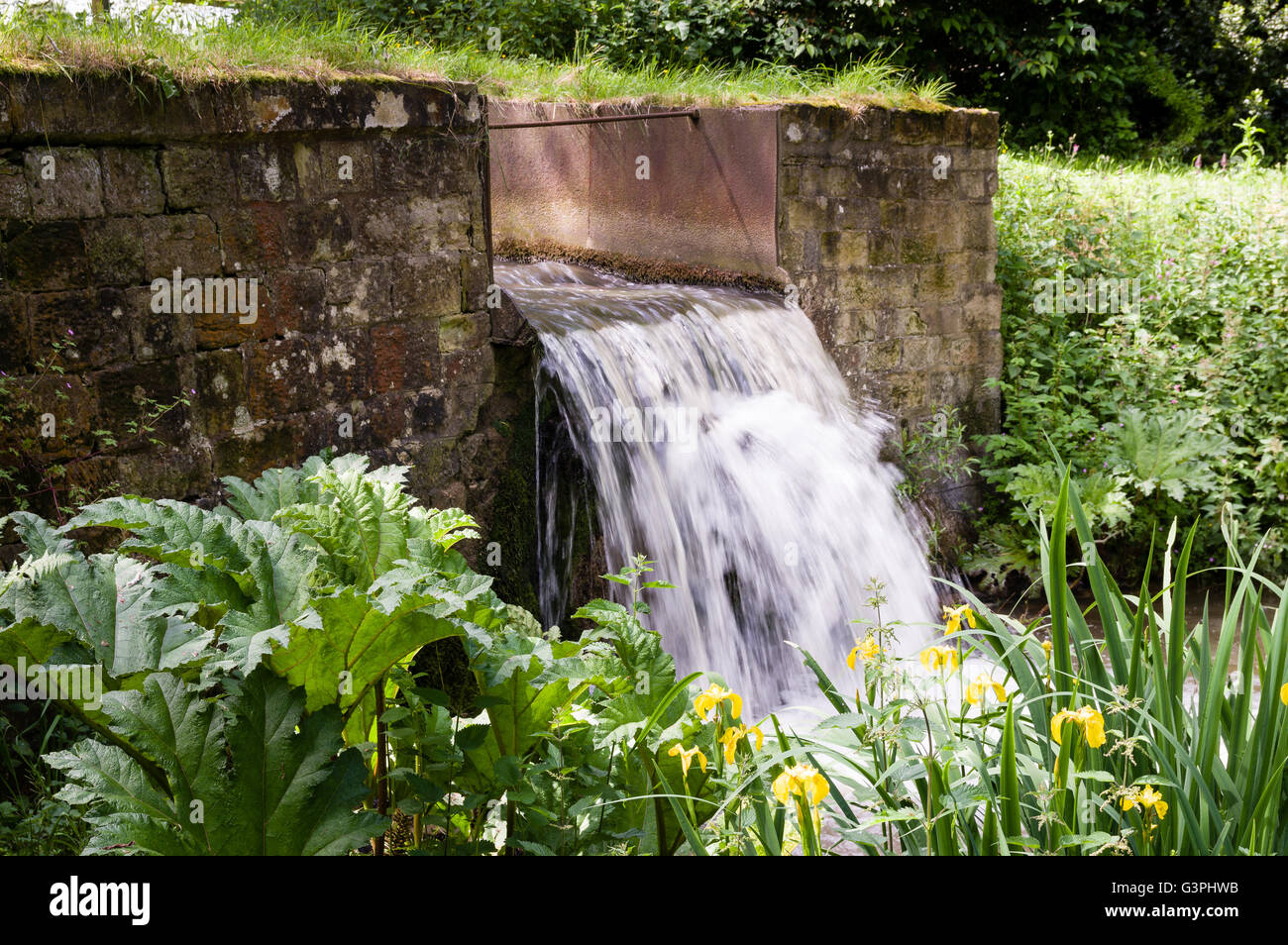 A weir /ˈwɪer/ is a barrier across a river designed to alter its flow ...