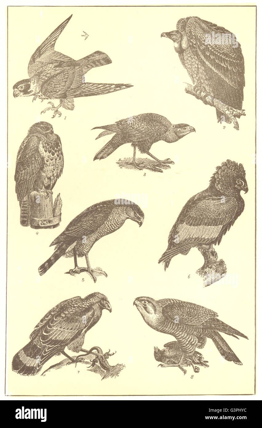 George edwin rines america hi-res stock photography and images - Alamy