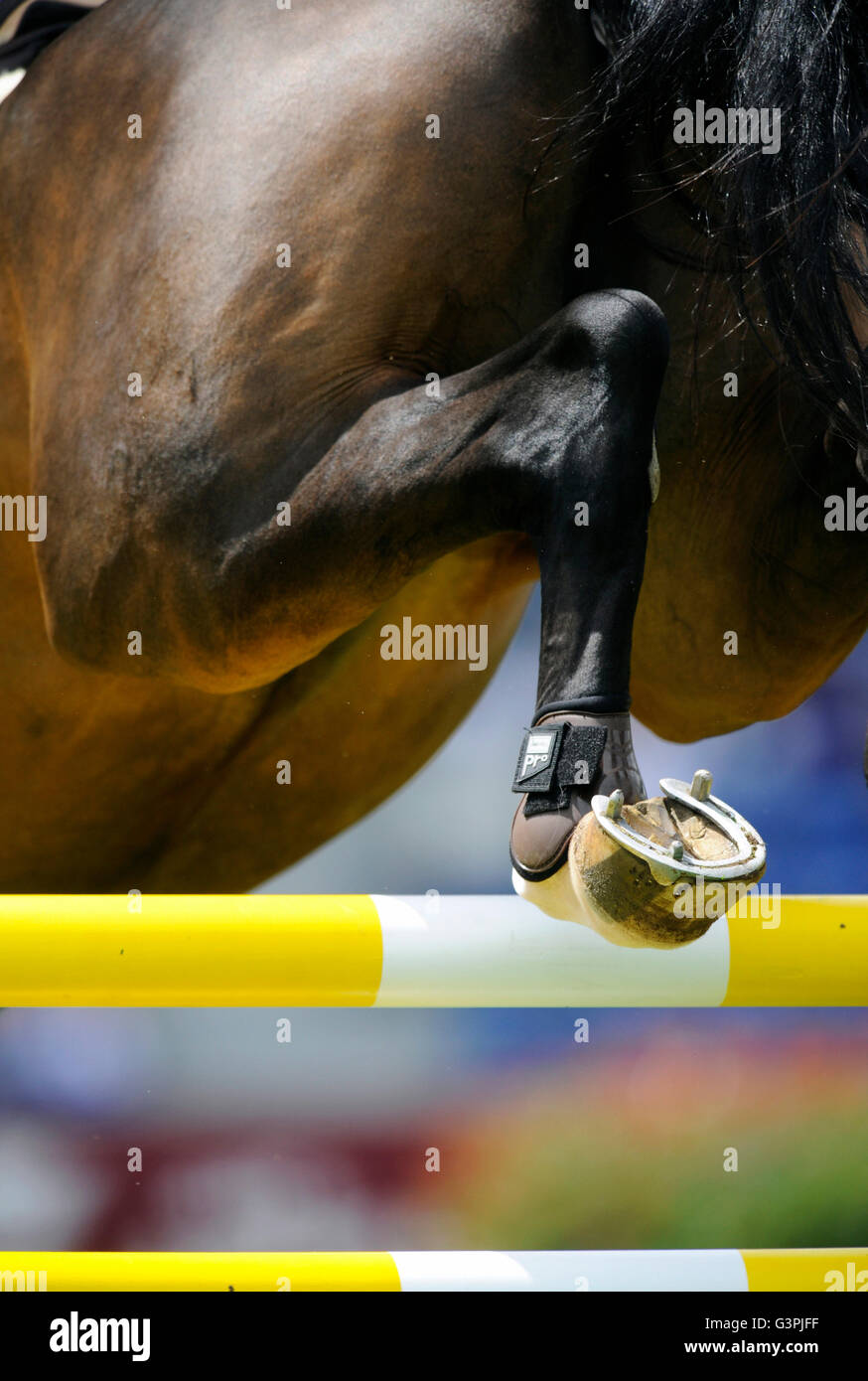 Show jumping, STAWAG Prize, World Equestrian Festival, CHIO Aachen 2012 ...