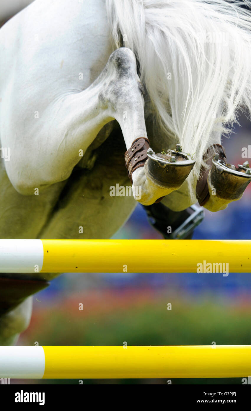 Show jumping, STAWAG Prize, World Equestrian Festival, CHIO Aachen 2012 ...