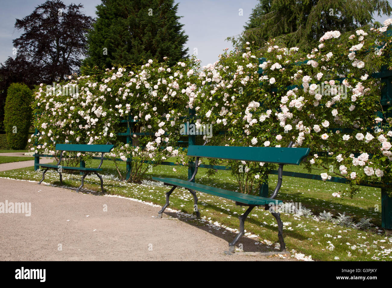 Garden arch bench hi-res stock photography and images - Alamy
