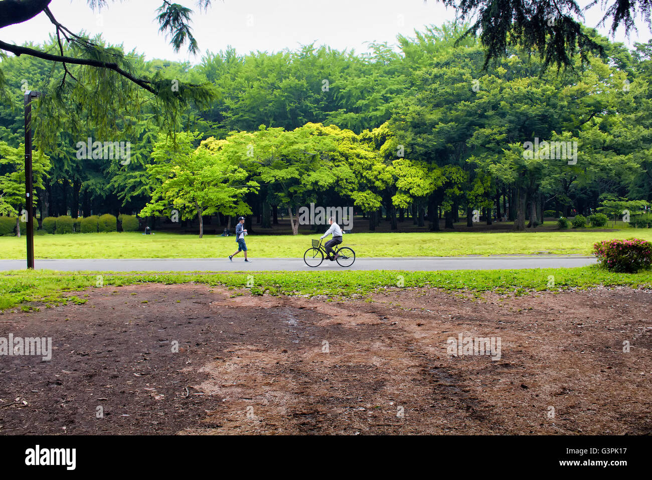 Enjoy nature hi-res stock photography and images - Alamy