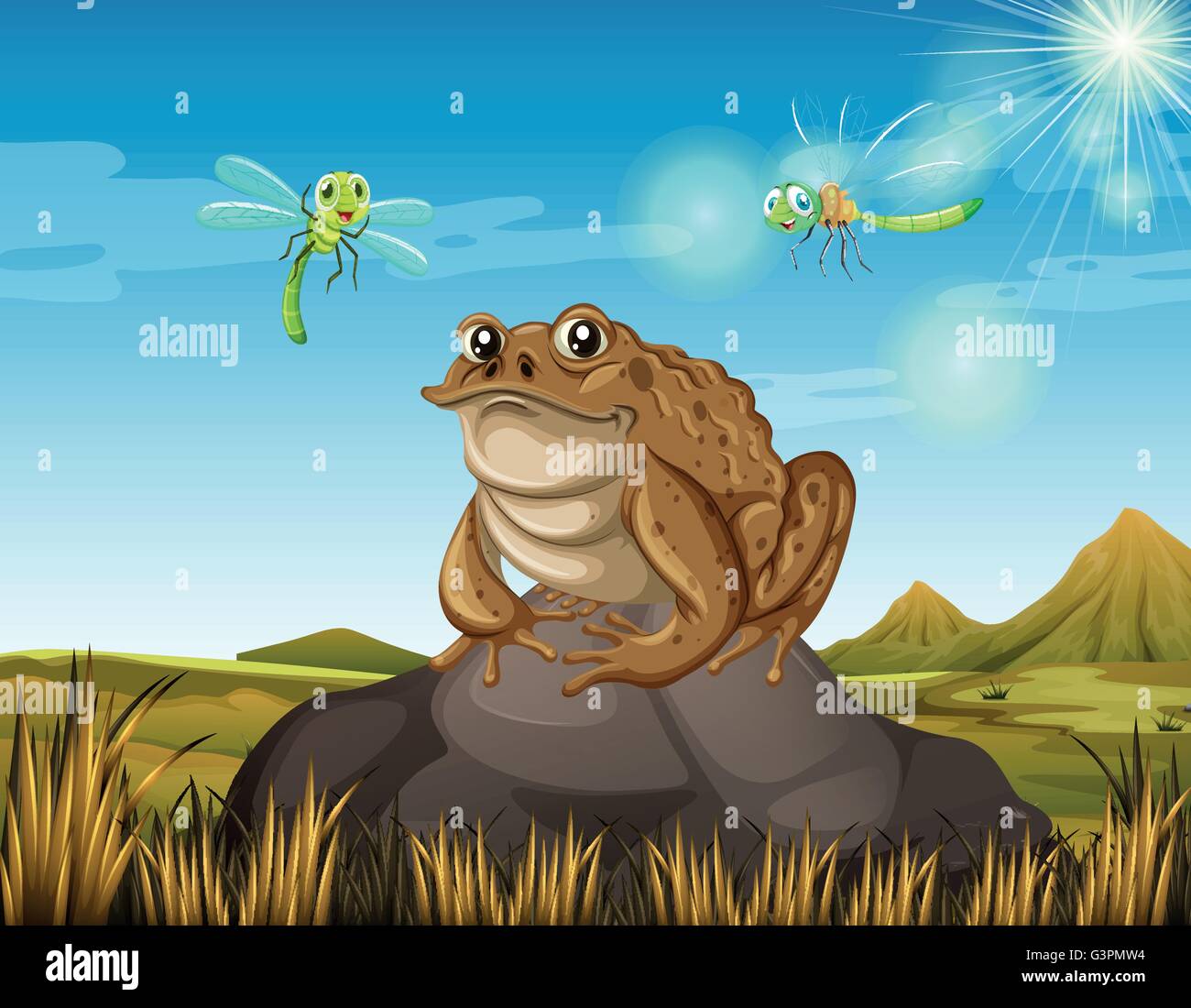 Toad Drawing Stock Photos & Toad Drawing Stock Images - Alamy