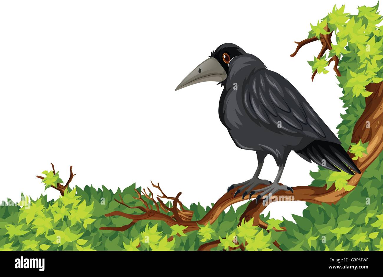 Crow standing on branch illustration Stock Vector Image & Art - Alamy