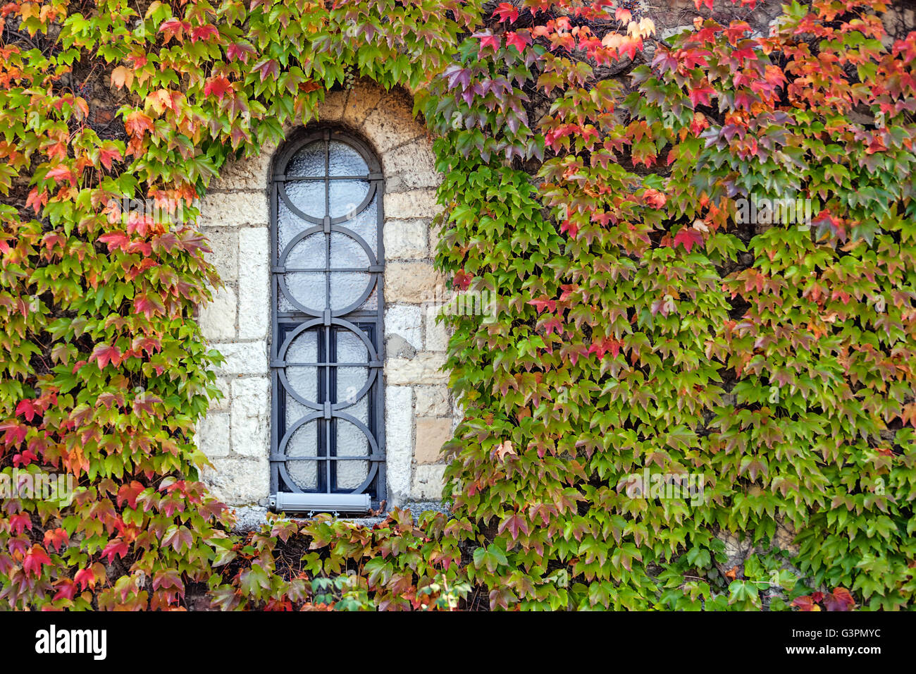 window on the old stone wall with orange and green leaves Stock Photo ...