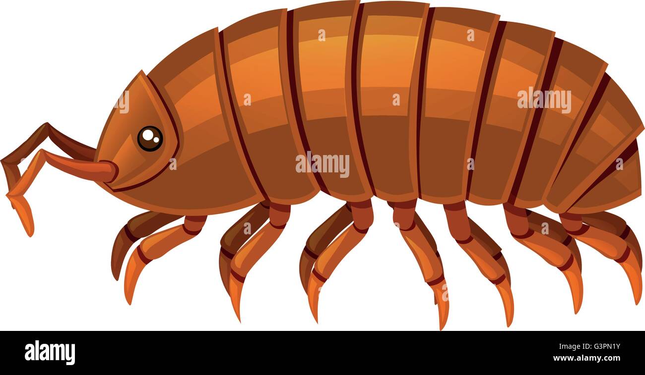 Insect with brown shell illustration Stock Vector Image & Art - Alamy