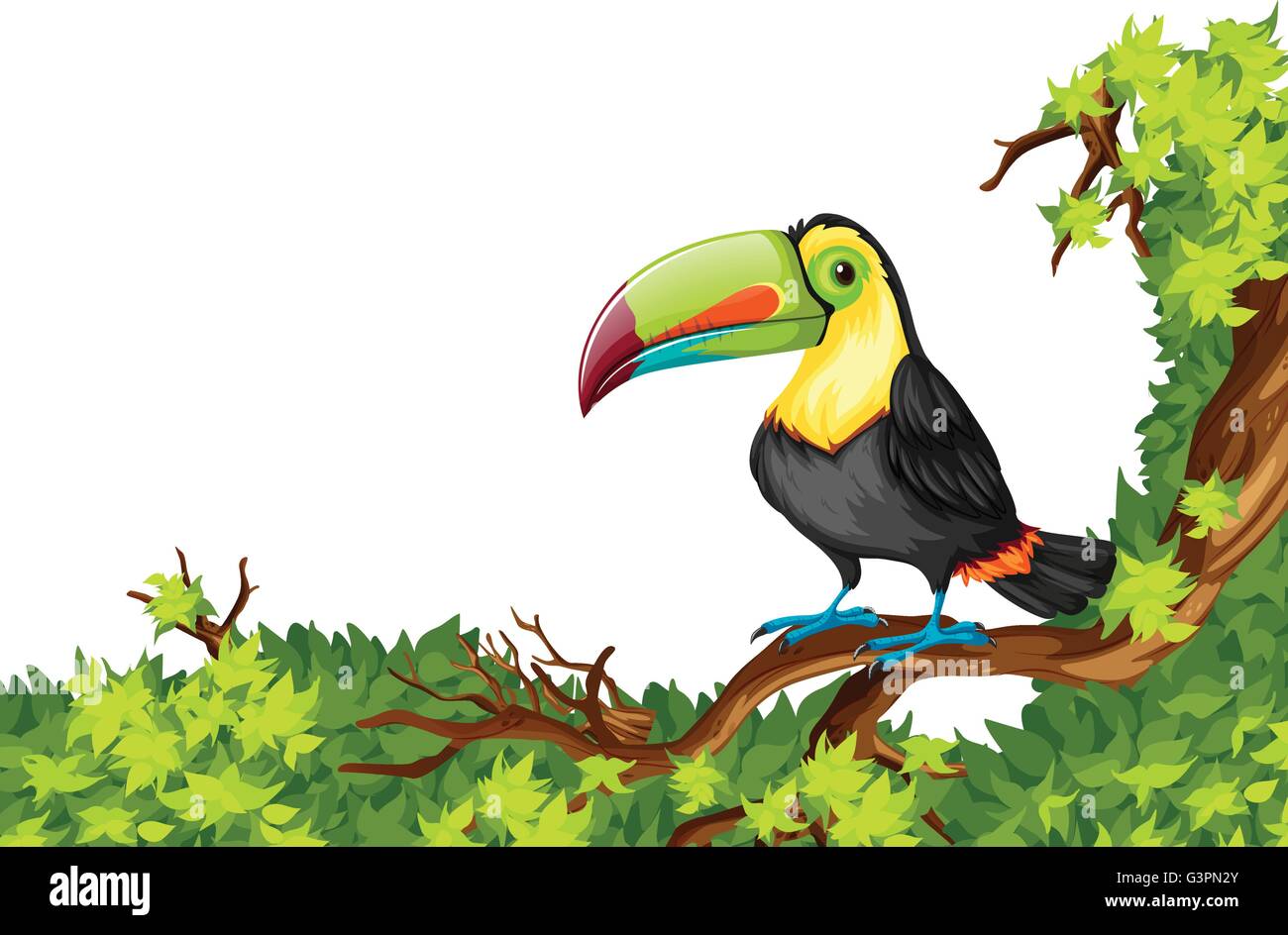 Flying toucan Stock Vector Images - Alamy