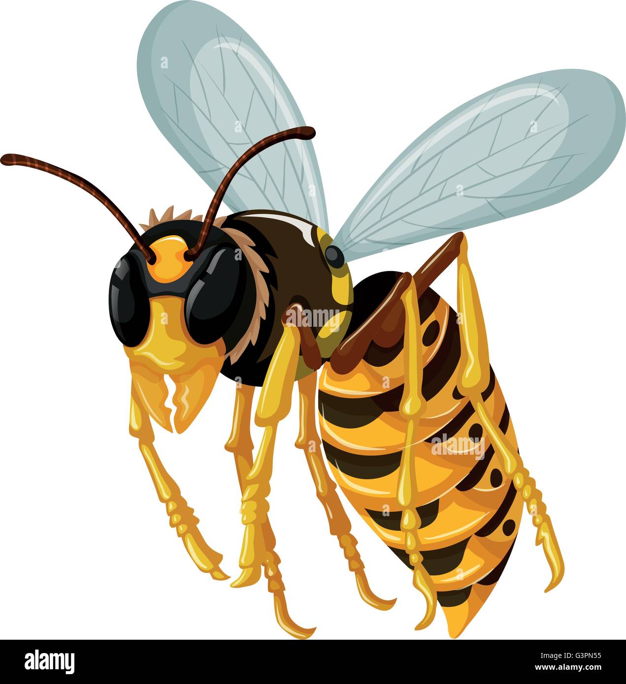 Single wasp flying on white background illustration Stock Vector Image ...