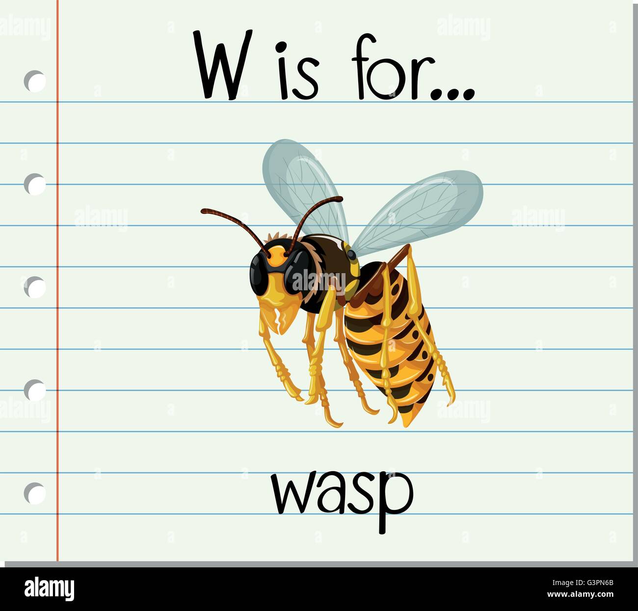 Flashcard letter W is for wasp illustration Stock Vector Image & Art ...