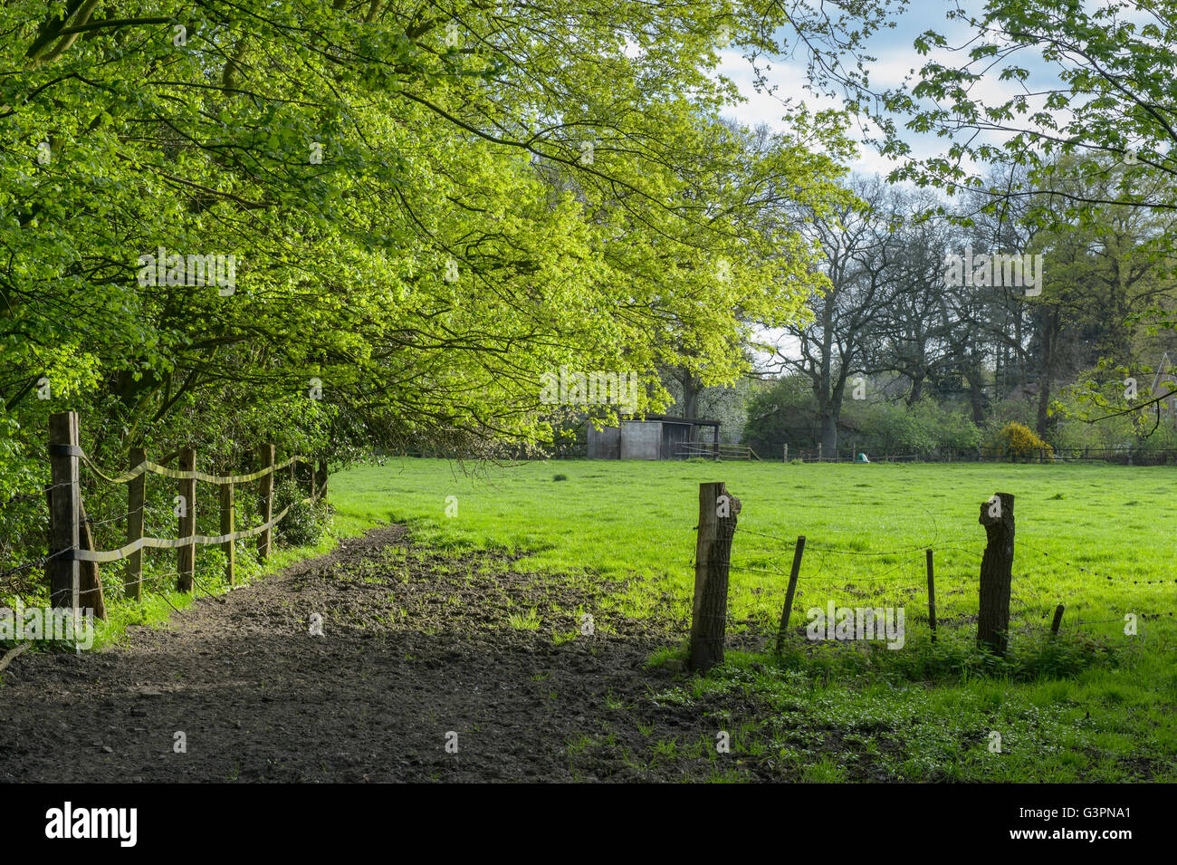Landkreis vechta hi-res stock photography and images - Alamy