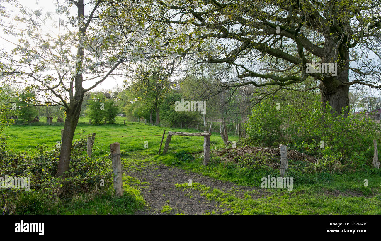 Landkreis vechta hi-res stock photography and images - Alamy