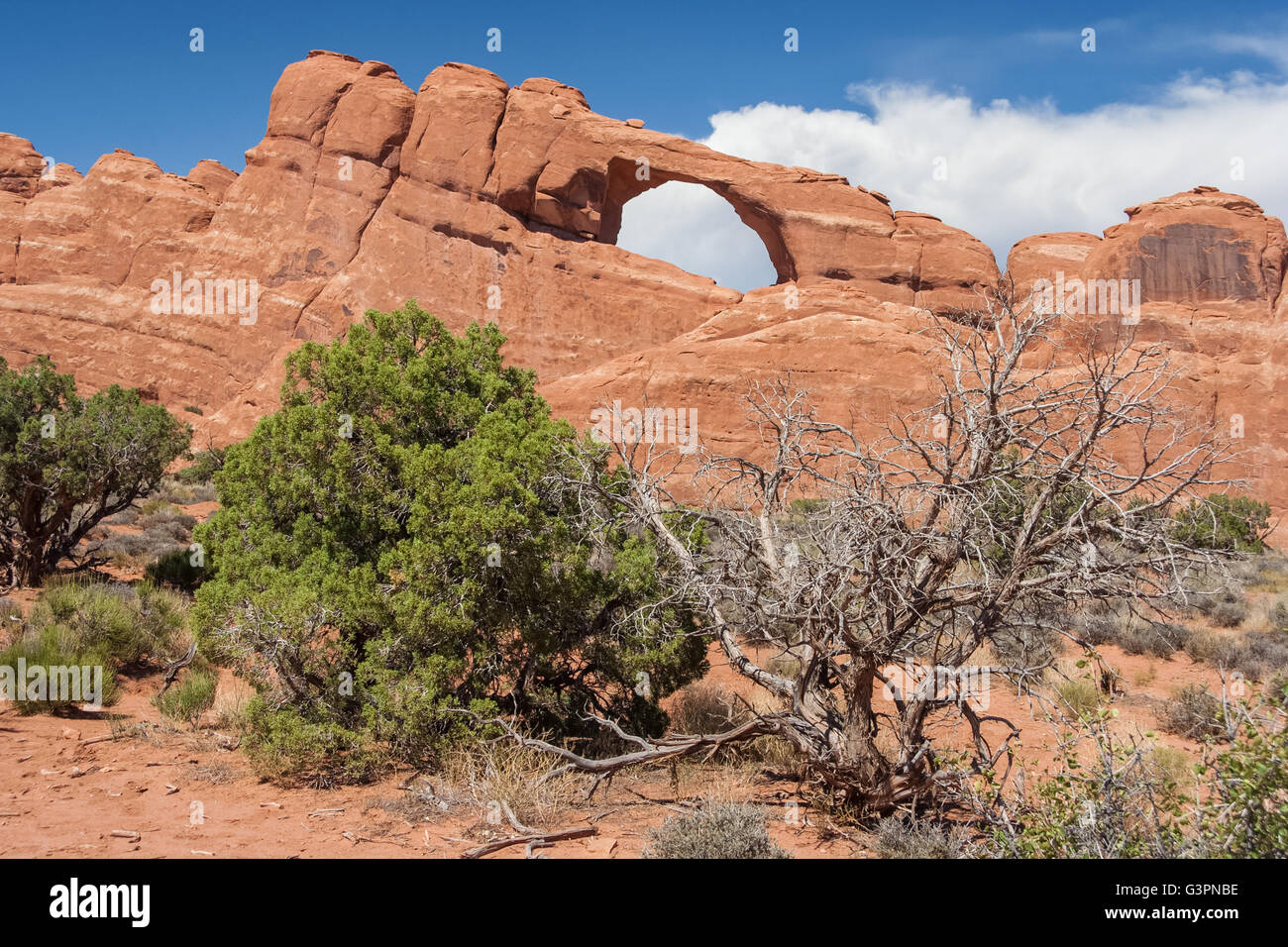 Mesa skyline hi-res stock photography and images - Alamy