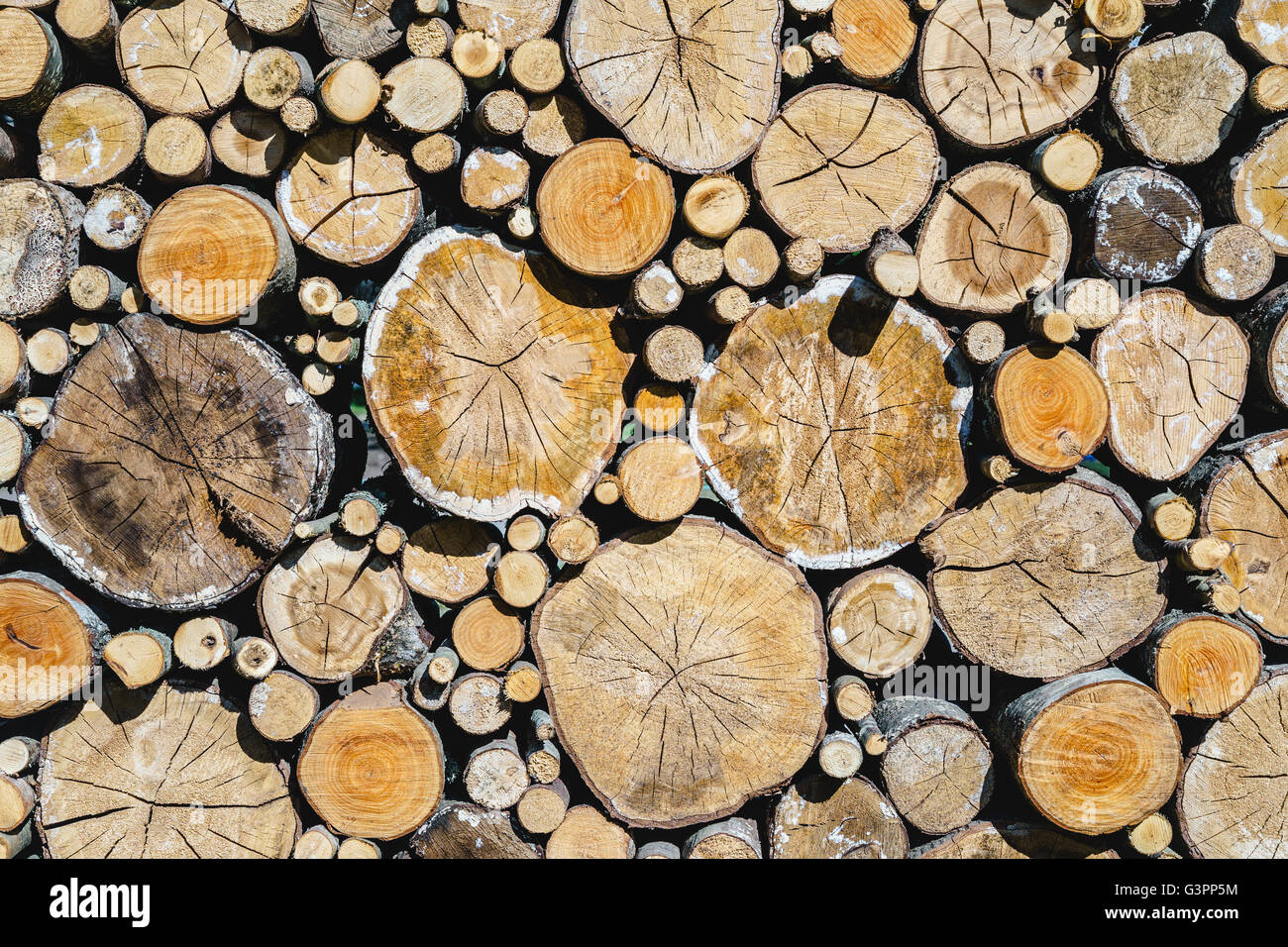 Pile of wood logs in different sizes and shapes Stock Photo - Alamy