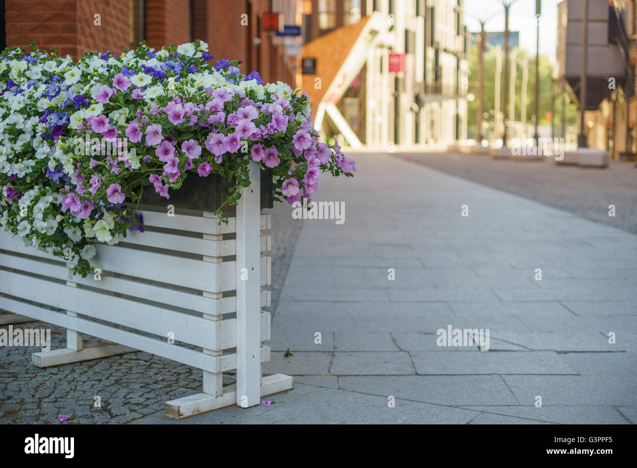 Flowers on pedestrian street, sunlighted background, urban scene Stock ...