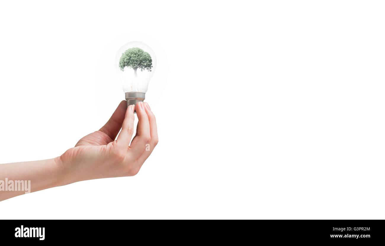 Hand holding environmental light bulb Stock Photo - Alamy