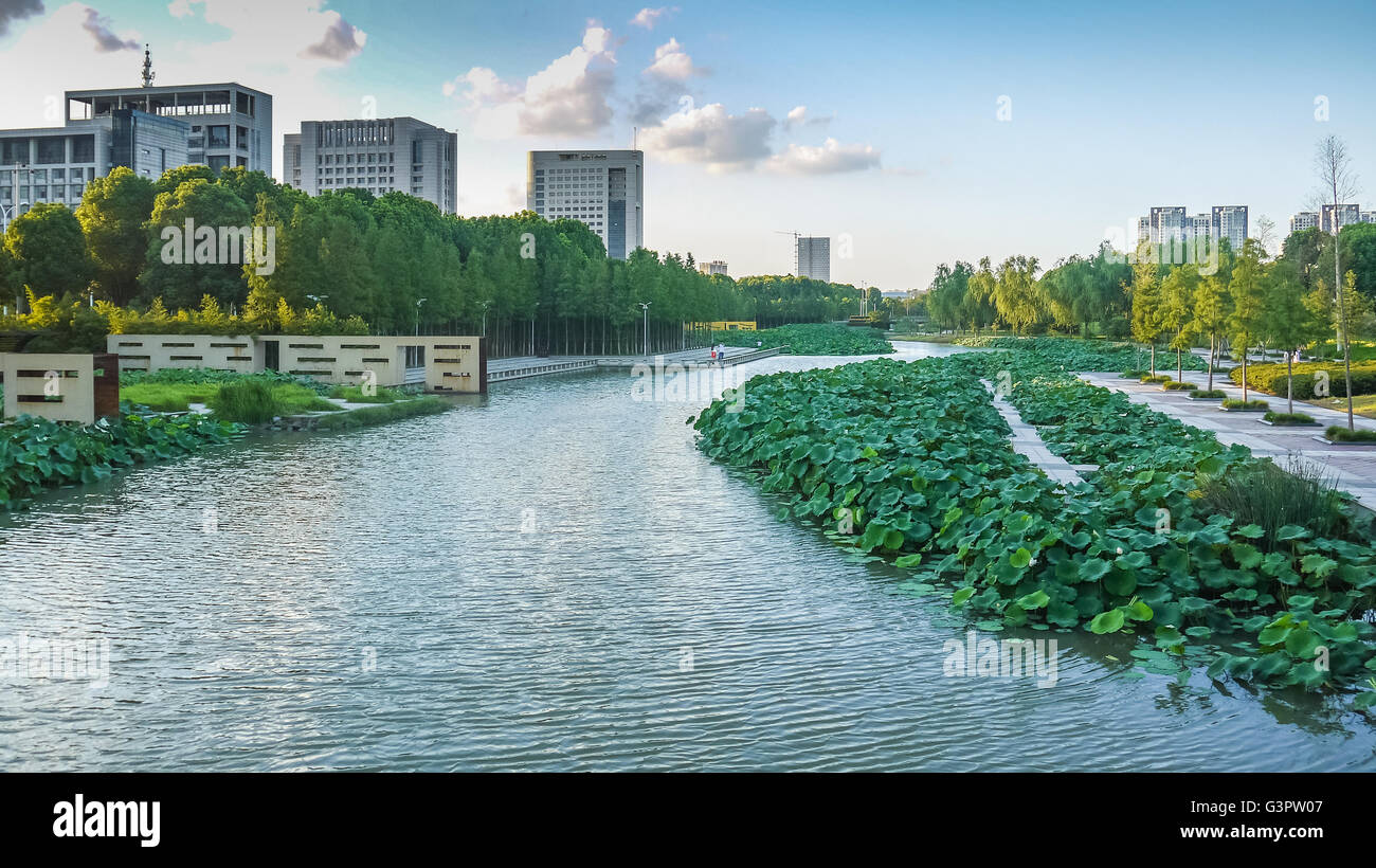 River with waterside deck and greening bank, afforestation and greening ...