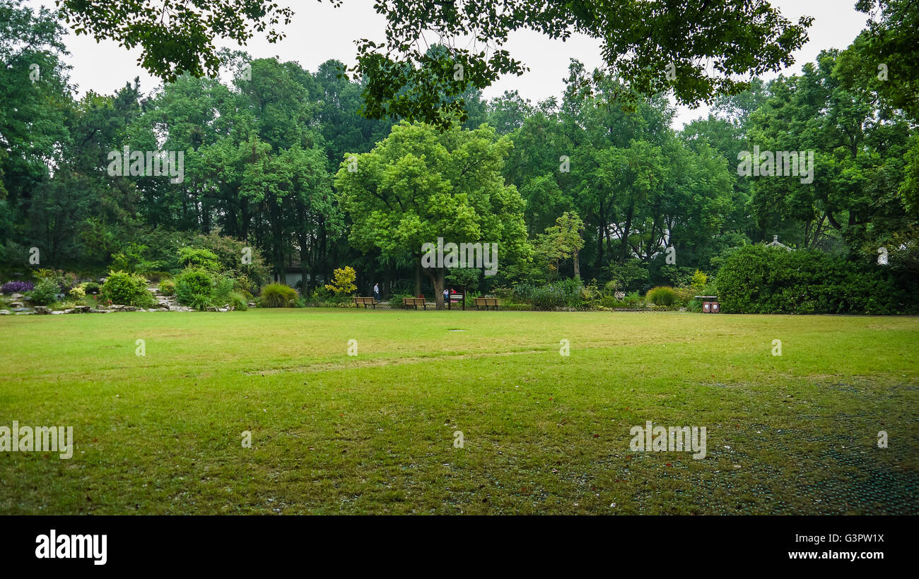 A lawn at the surrounding trees hi-res stock photography and images - Alamy