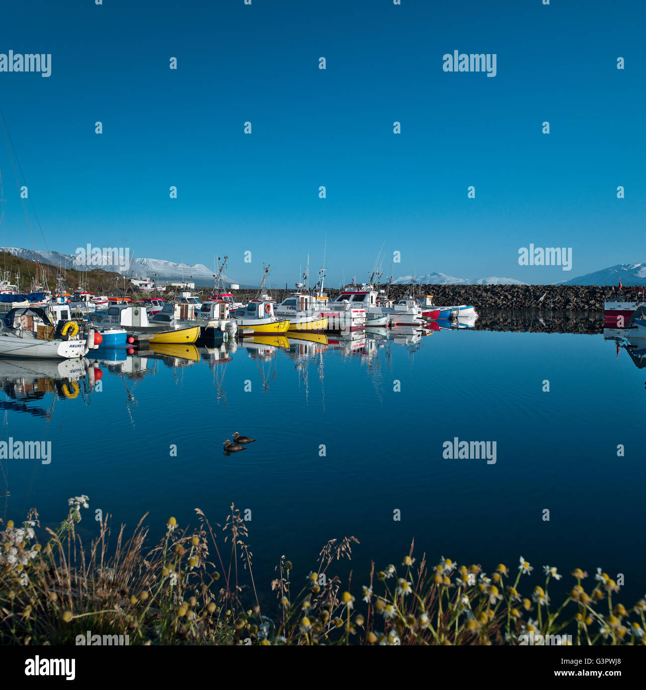Akureyri Harbor, Eyjafjordur, Akureyri, Iceland Stock Photo - Alamy