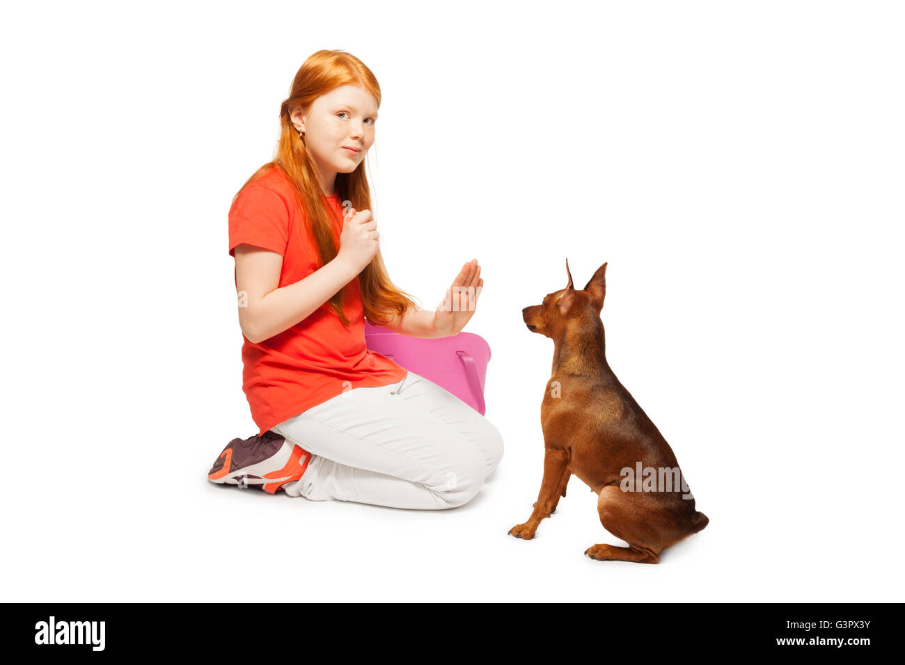 Red beautiful girl taming and training dog Stock Photo - Alamy
